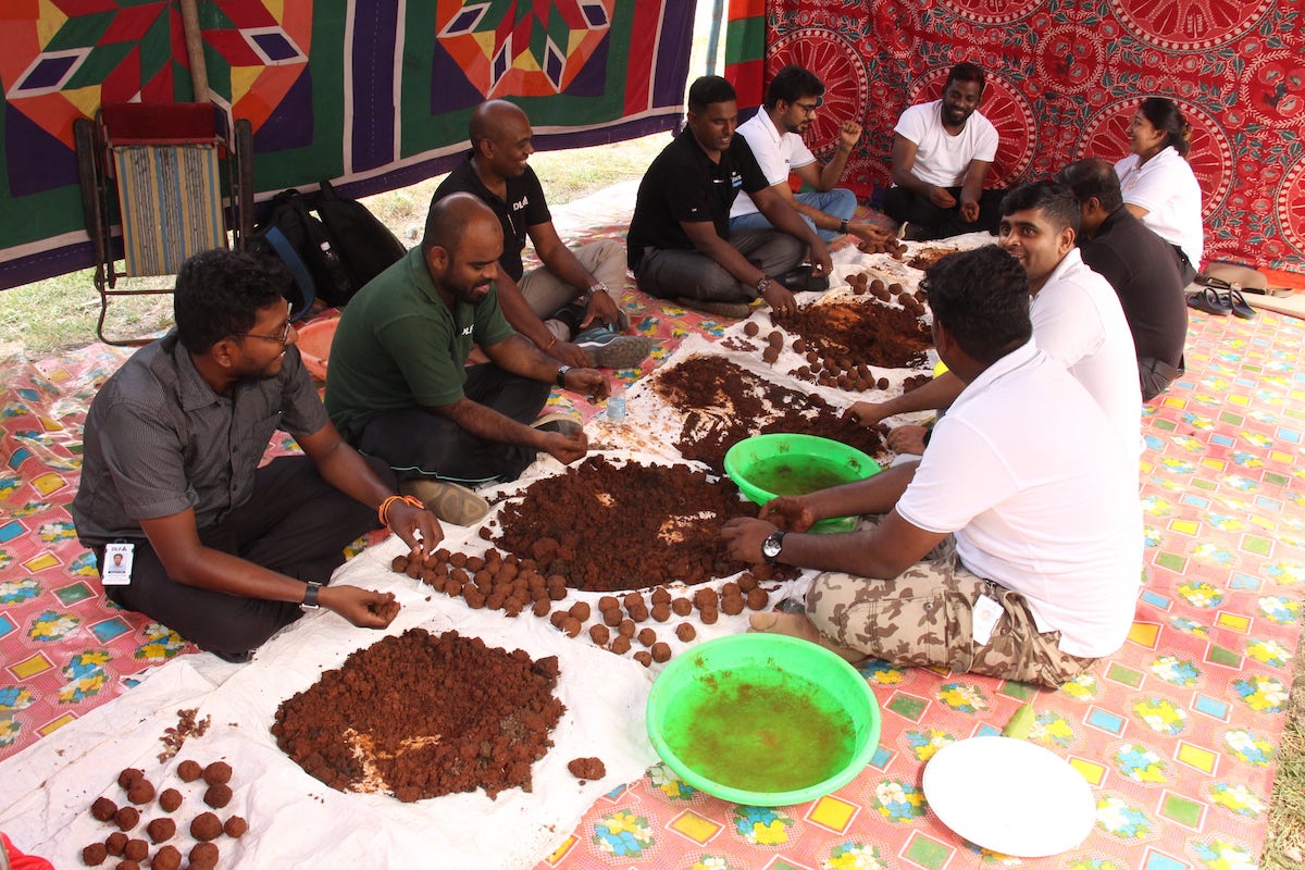 DLF Foundation